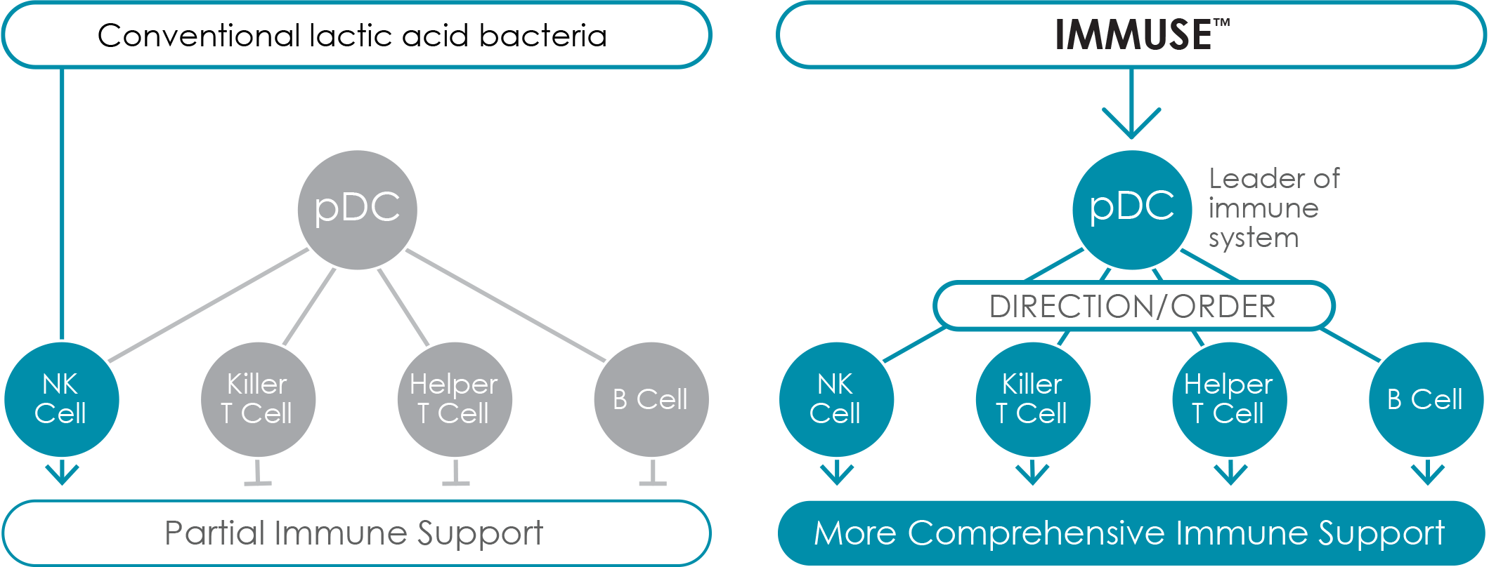 A Cutting-Edge Postbiotic for Clinically Researched Immune Support